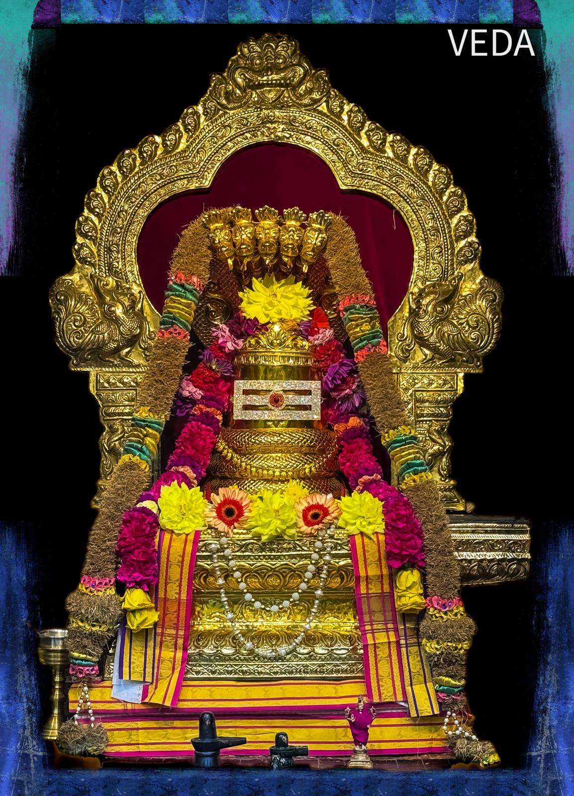 VEDA Sri Venkateswara Temple